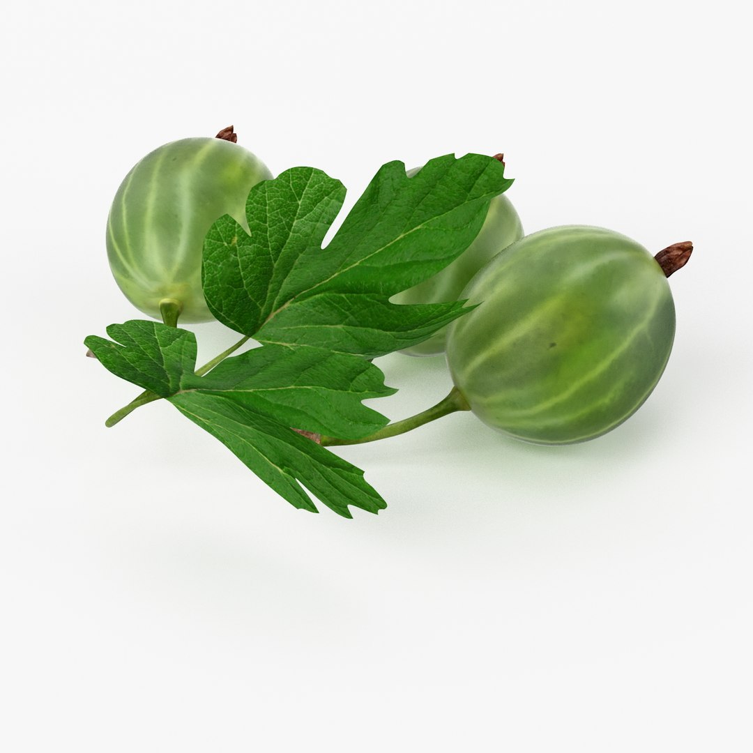 Realistic Gooseberry Real Max