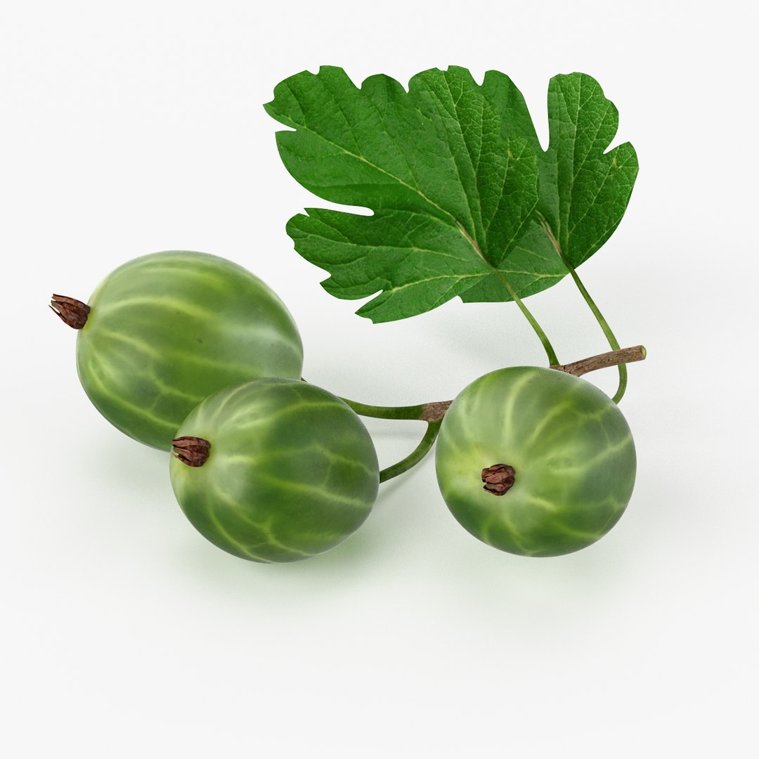 Realistic Gooseberry Real Max