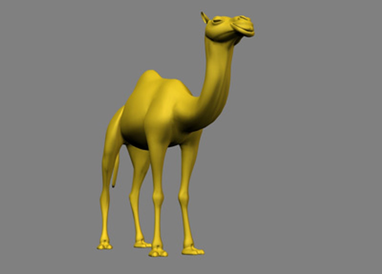 Camel 3d Model