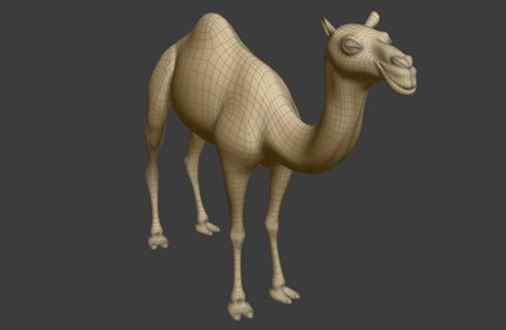 Camel 3d Model
