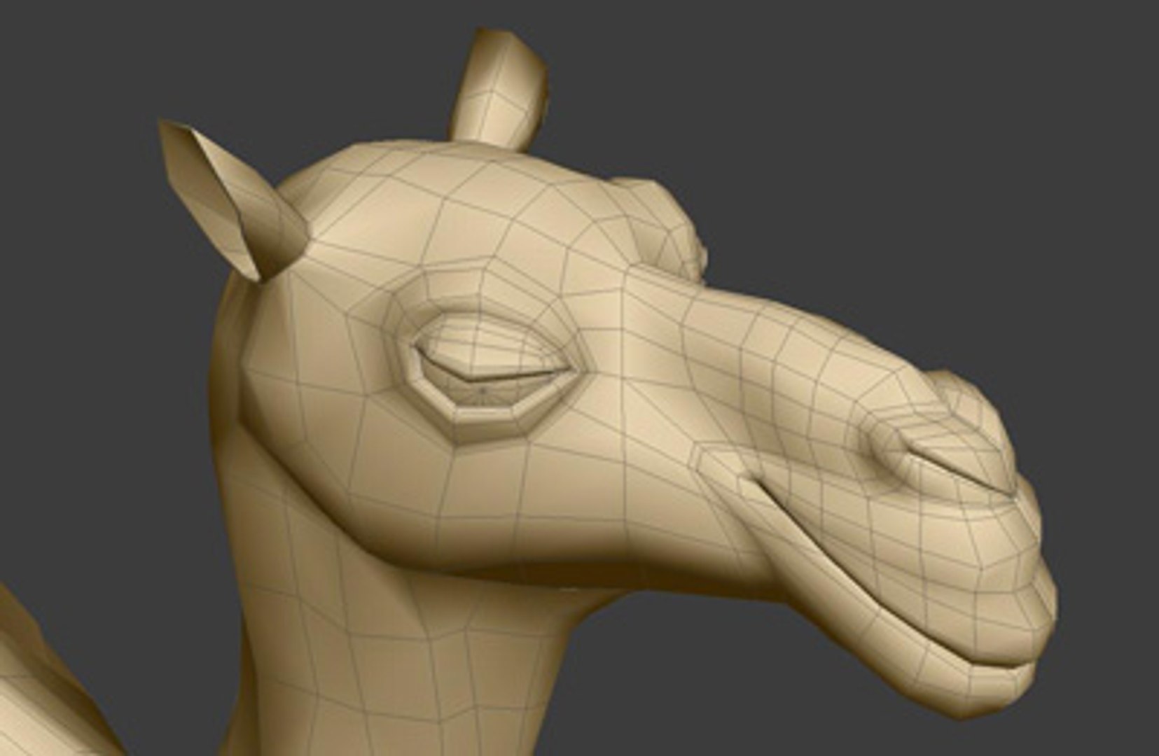 Camel 3d Model