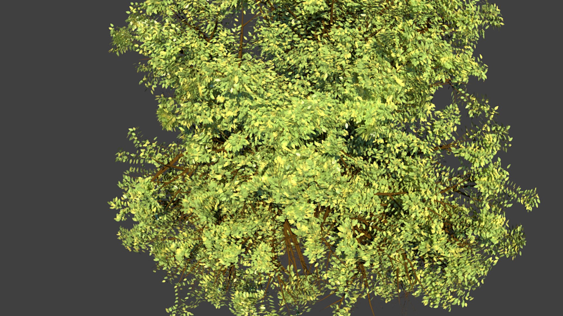 tree 3d model
