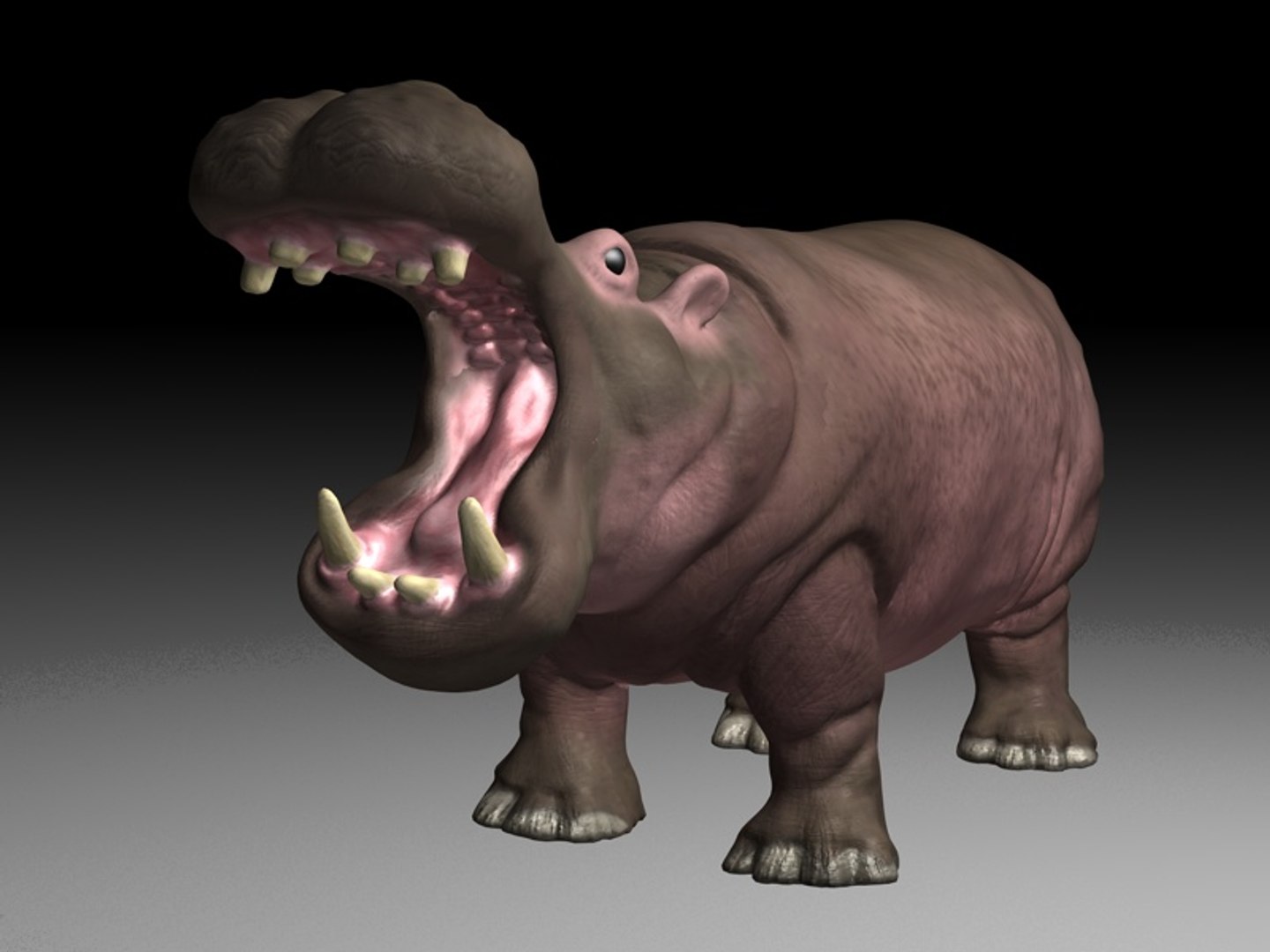 Cinema4d Hippo