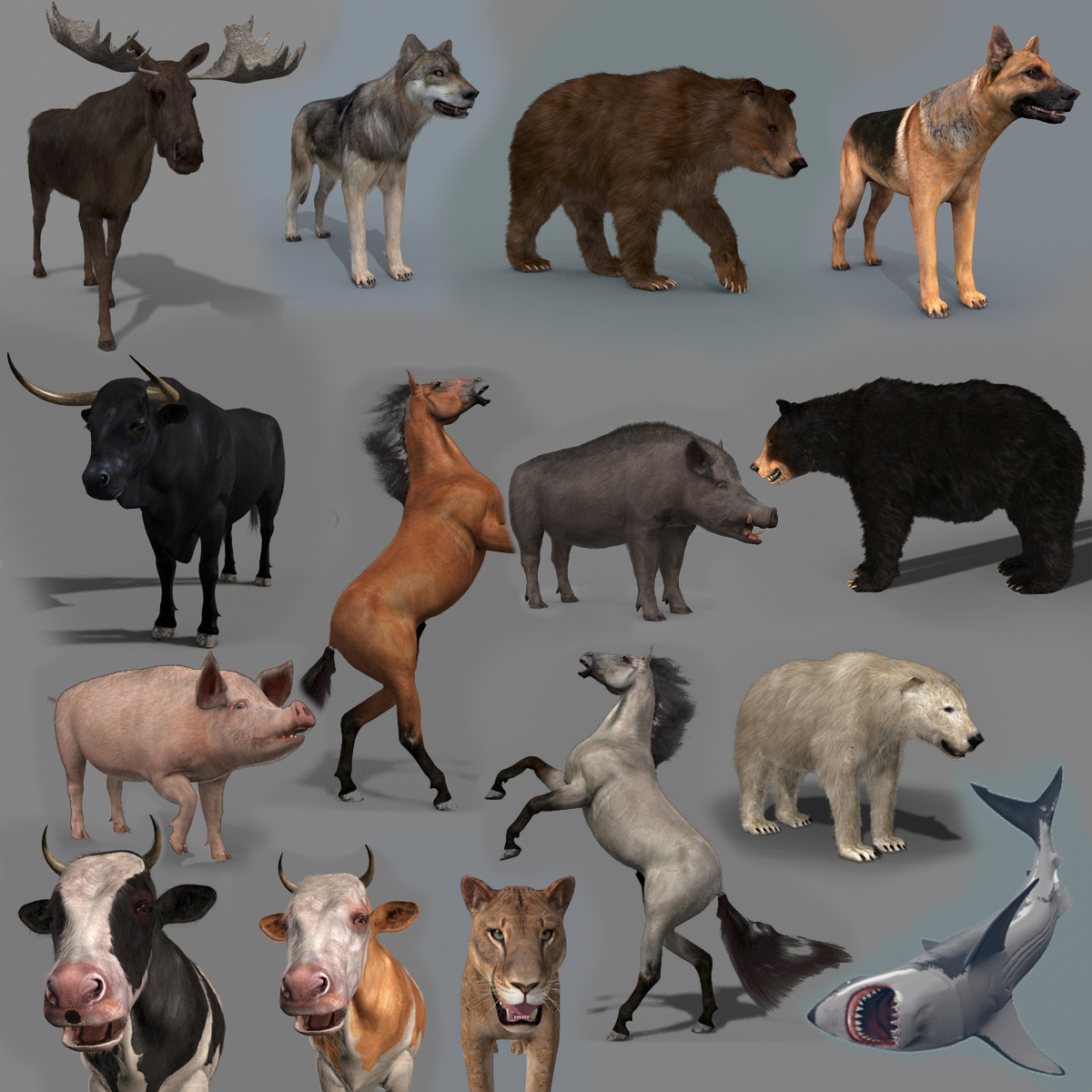 3D Farm and Forest Animal Pack HD - Animated - TurboSquid 1989177