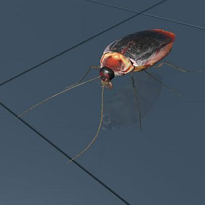 21st Century 3D 3D Models for Download | TurboSquid