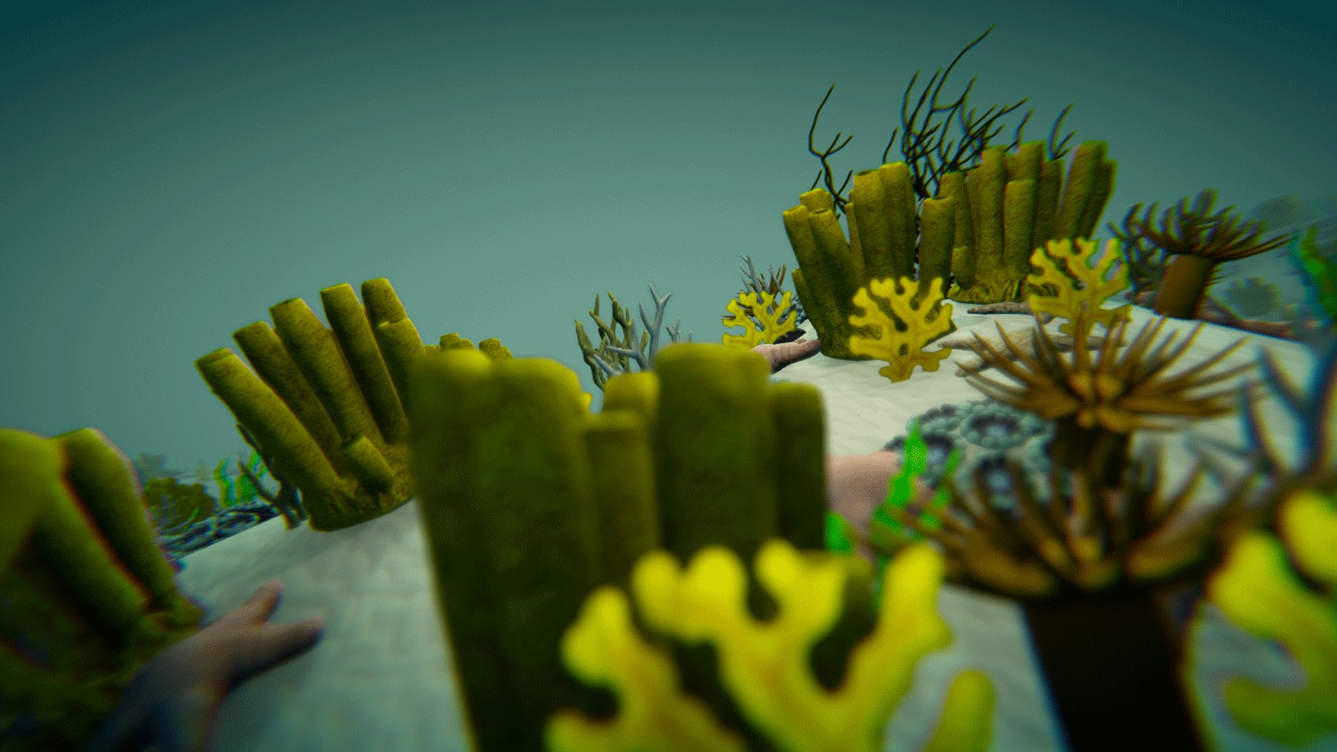3D Model Vr Corals - Underwater - TurboSquid 1433190