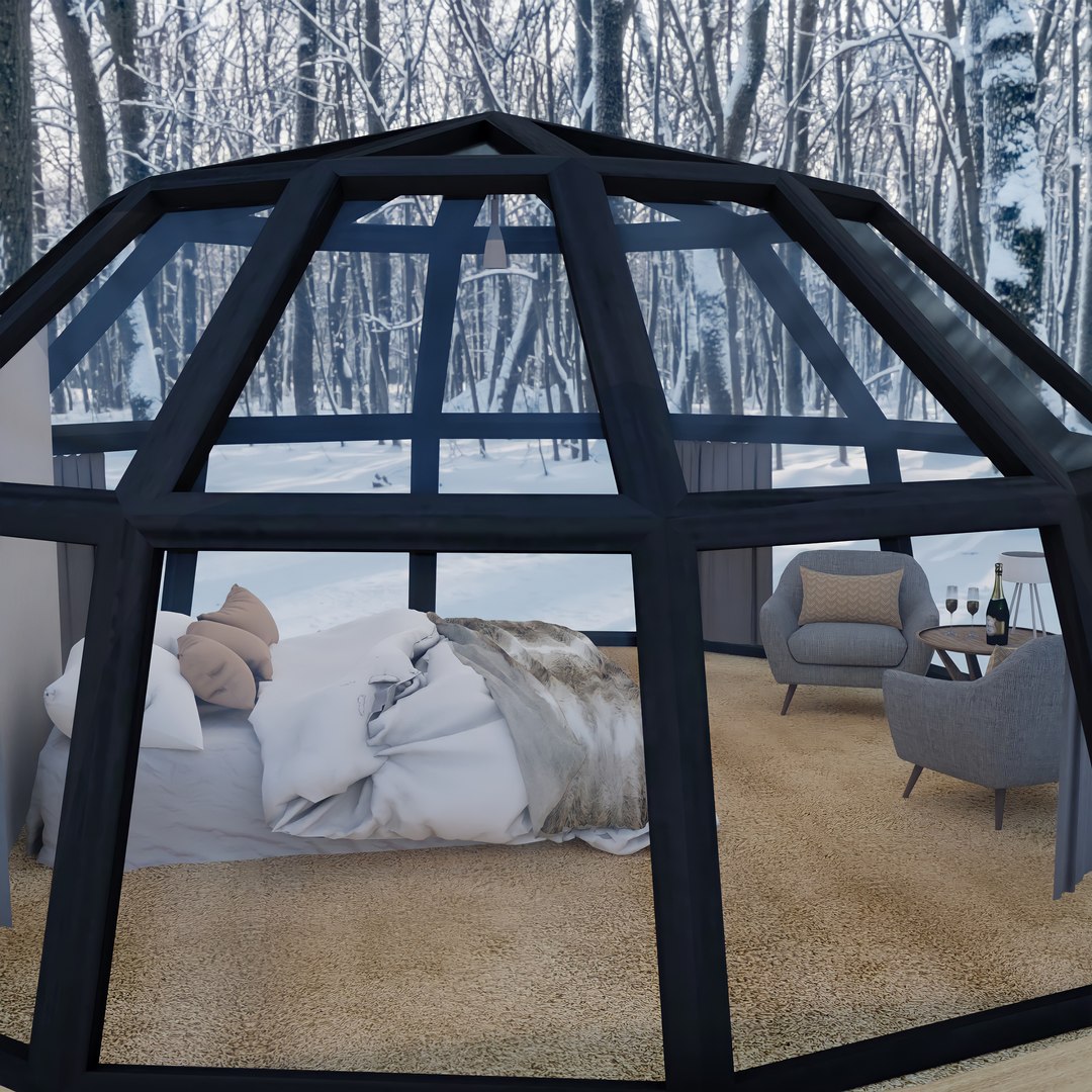 Glass Igloo Blender Scene 3D Model - TurboSquid 2291471