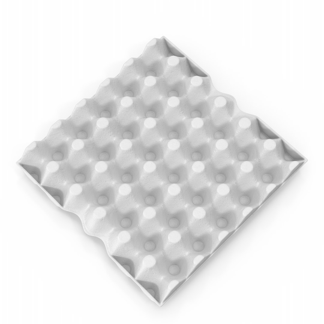 3D Model Egg Carton - TurboSquid 2205897