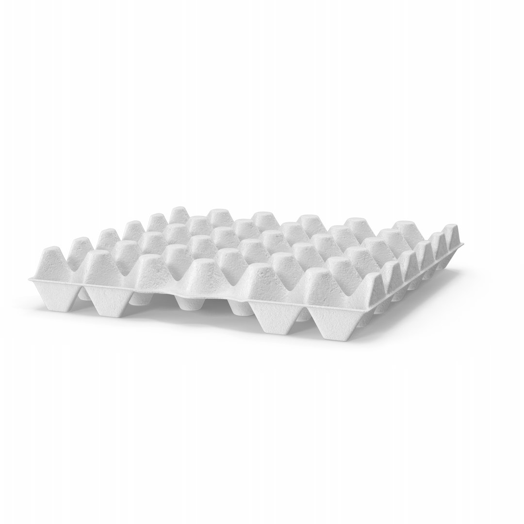 3D Model Egg Carton - TurboSquid 2205897