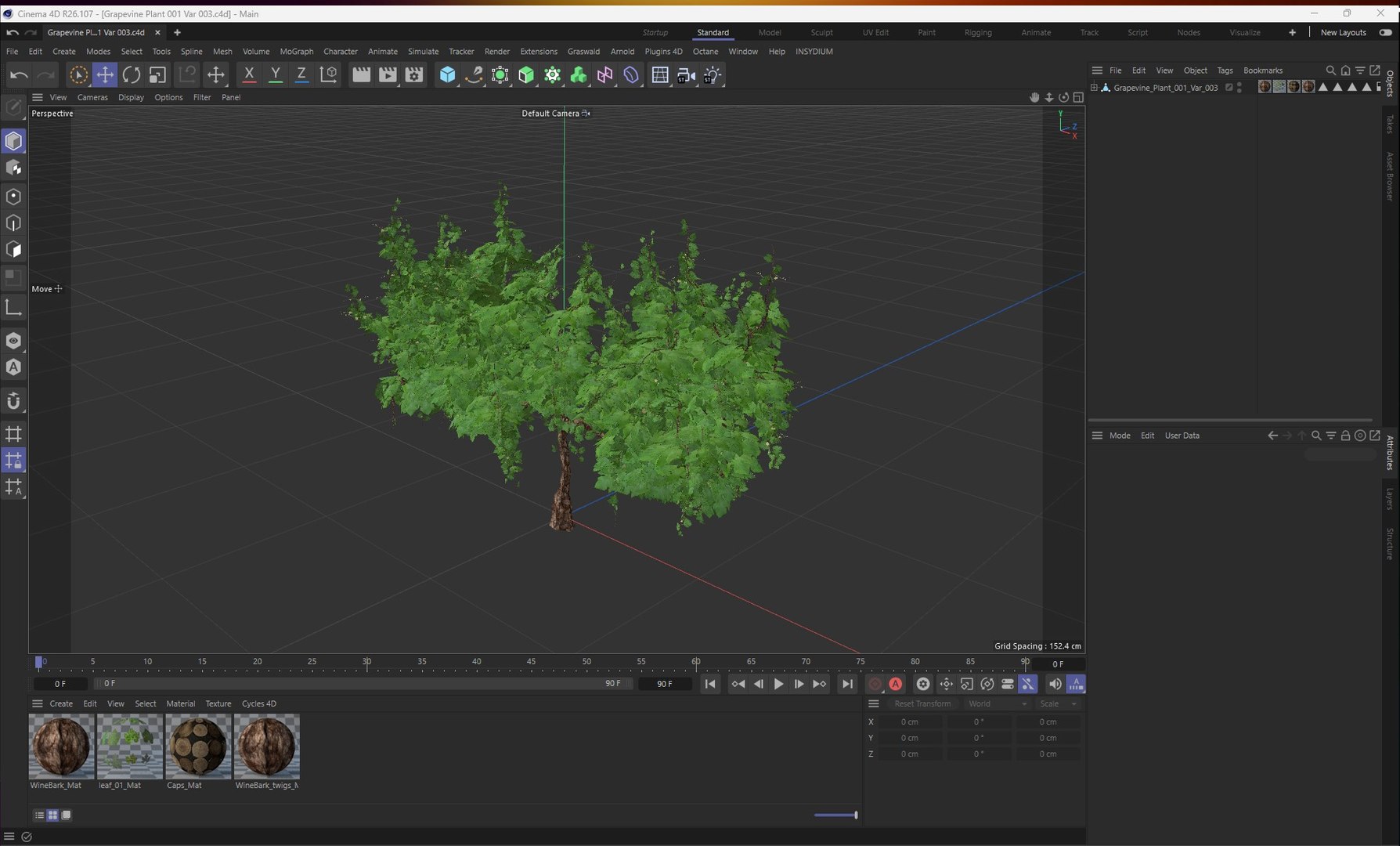 3D Model Grapevine Plant 001 Var 003 - TurboSquid 2084551
