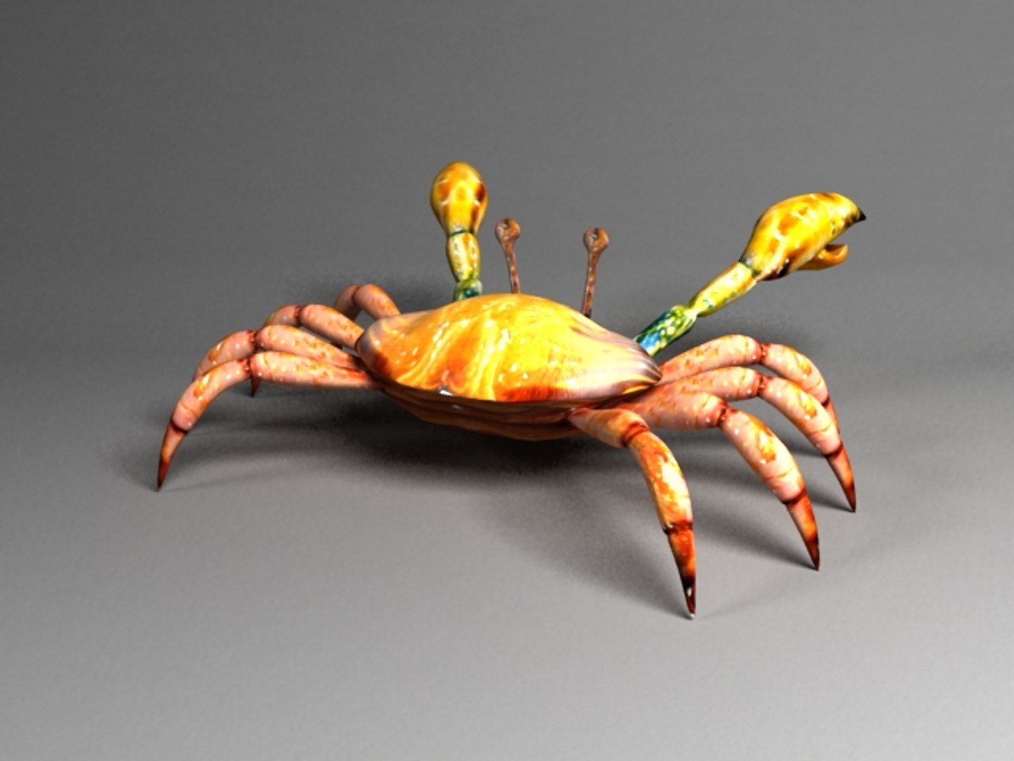 crab 3d model