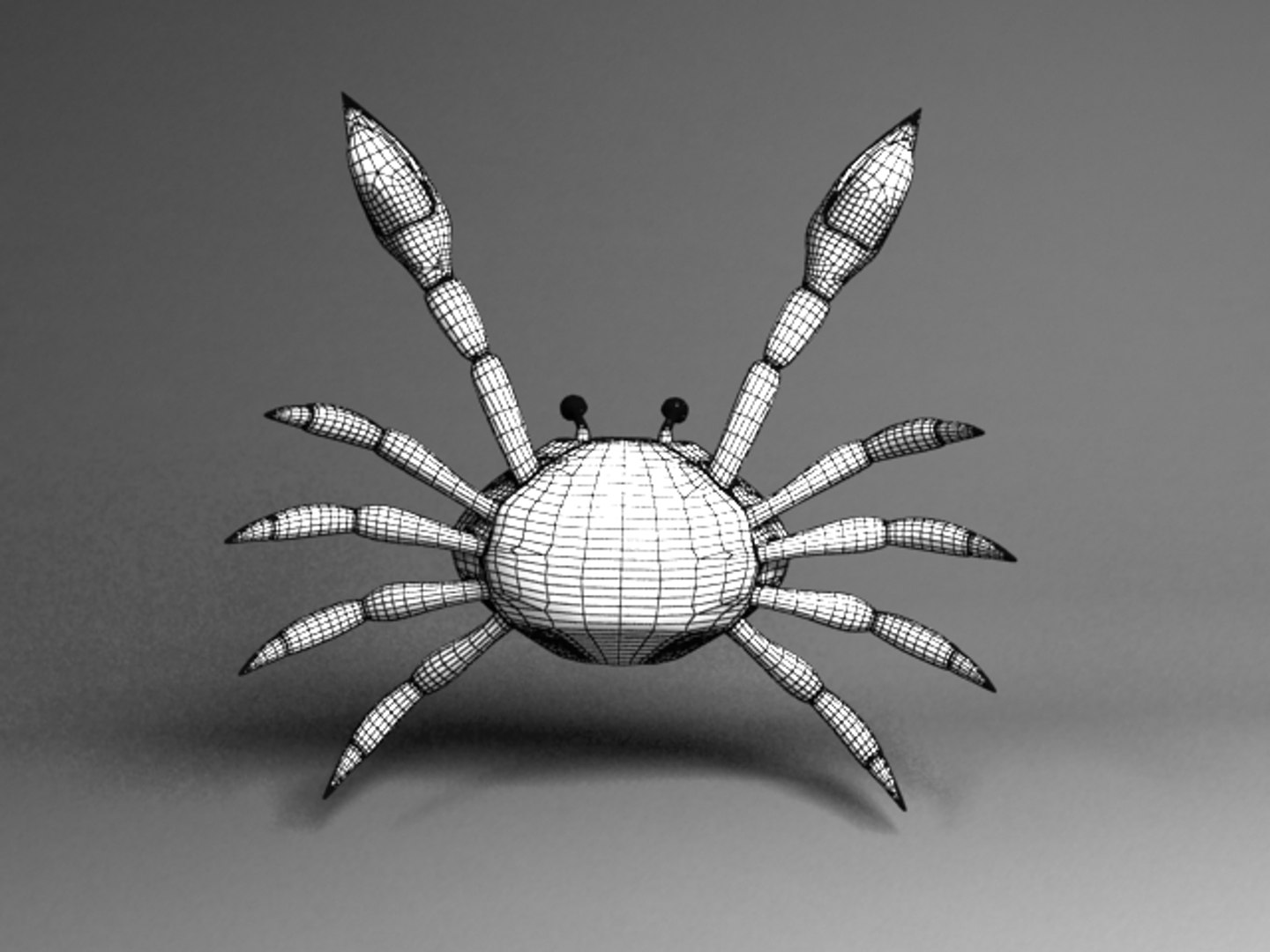crab 3d model