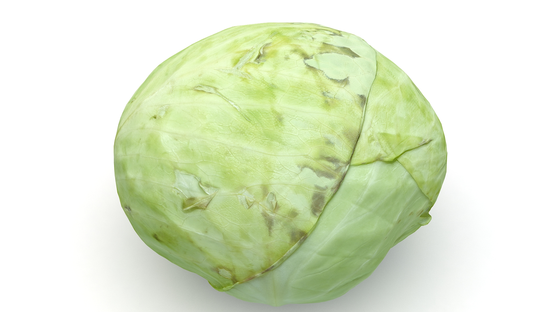3D realistic cabbage - TurboSquid 1548865