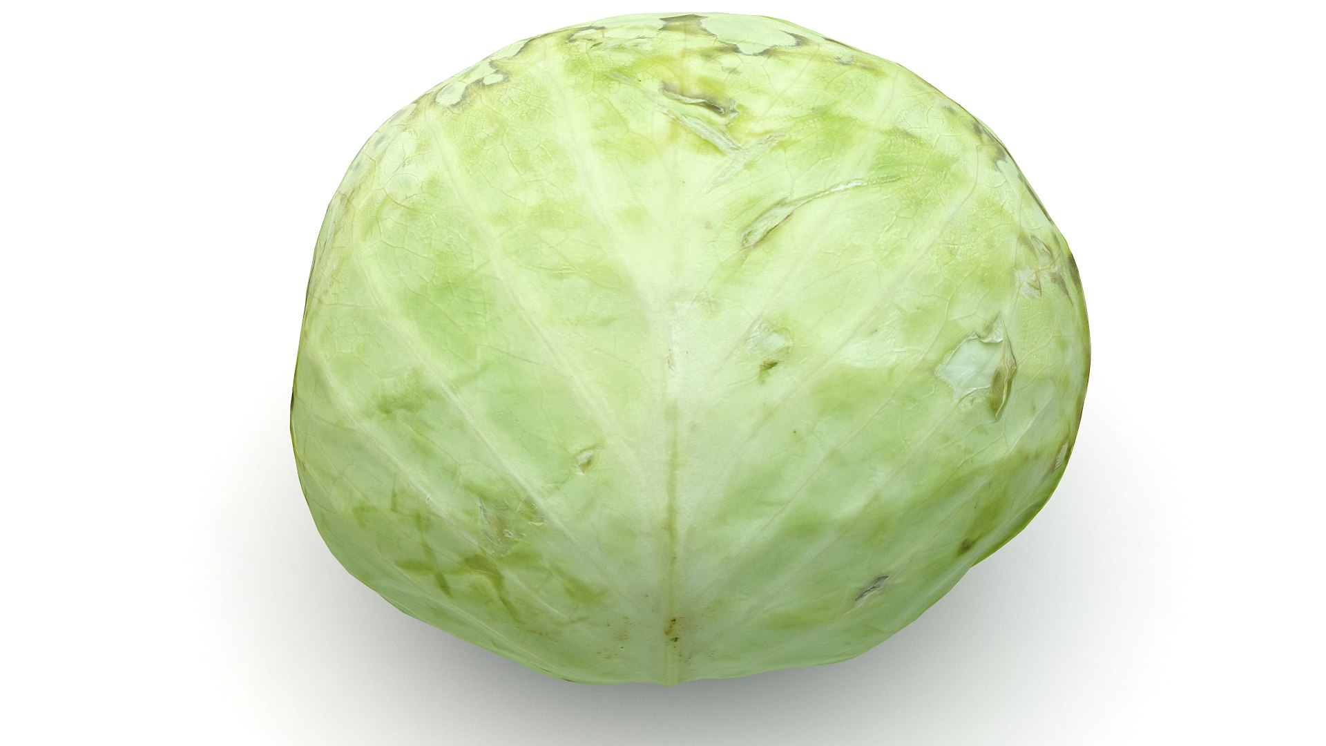3D realistic cabbage - TurboSquid 1548865