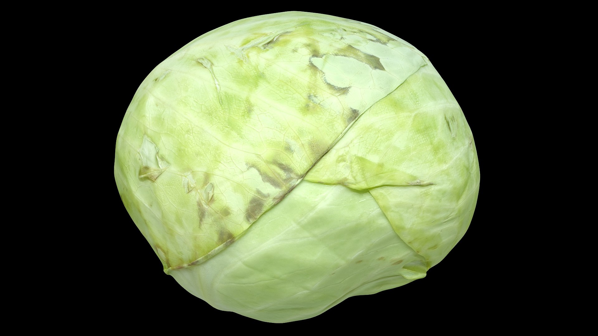 3D realistic cabbage - TurboSquid 1548865