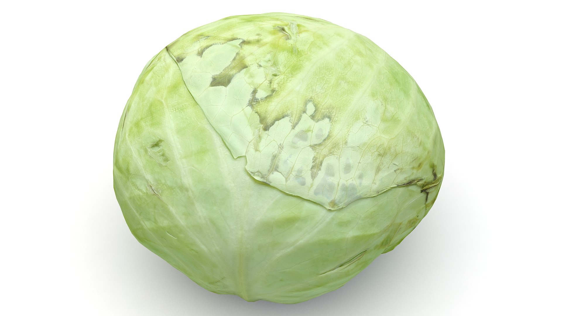 3D realistic cabbage - TurboSquid 1548865