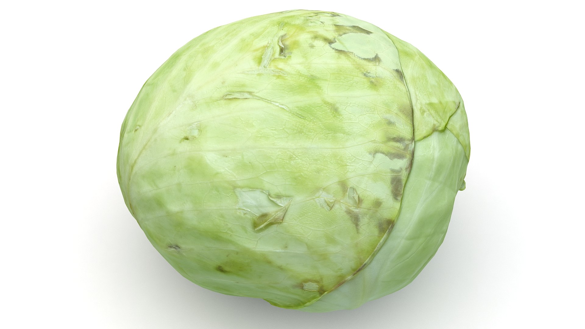3D realistic cabbage - TurboSquid 1548865