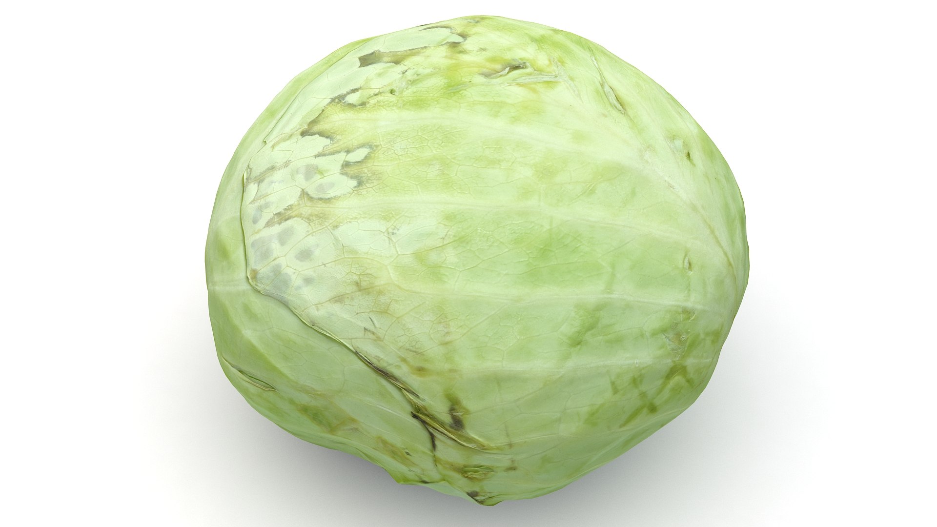 3D realistic cabbage - TurboSquid 1548865