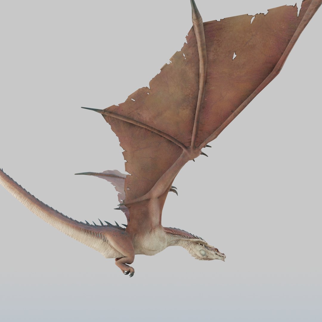 Dragon 3d Model Stylized 3D - TurboSquid 2263973