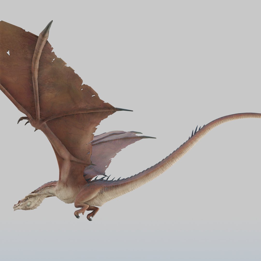 Dragon 3d Model Stylized 3D - TurboSquid 2263973