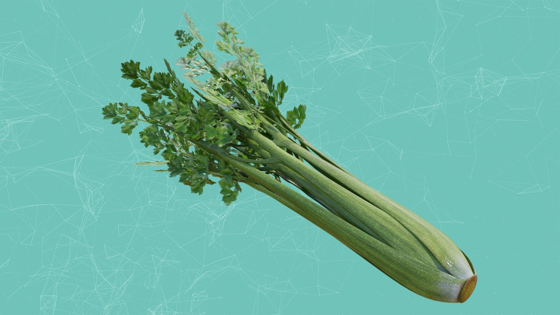 3D Celery Model - TurboSquid 1944254