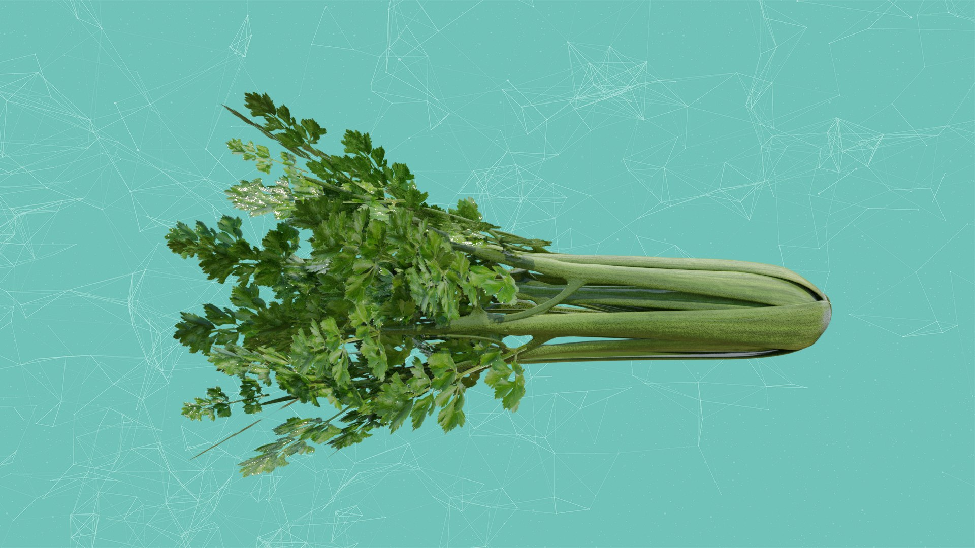 3D Celery Model - TurboSquid 1944254