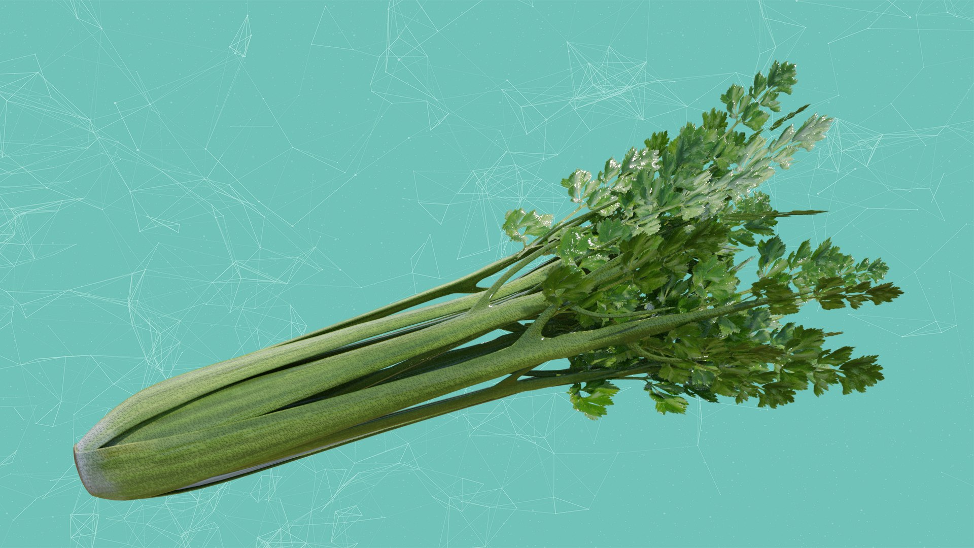 3D Celery Model - TurboSquid 1944254