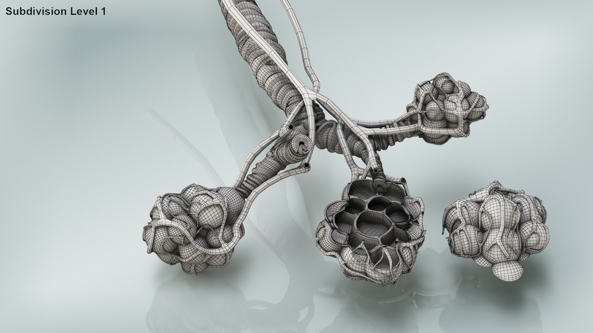 3D Bronchitis Alveoli Mucus Lungs - TurboSquid 1663222