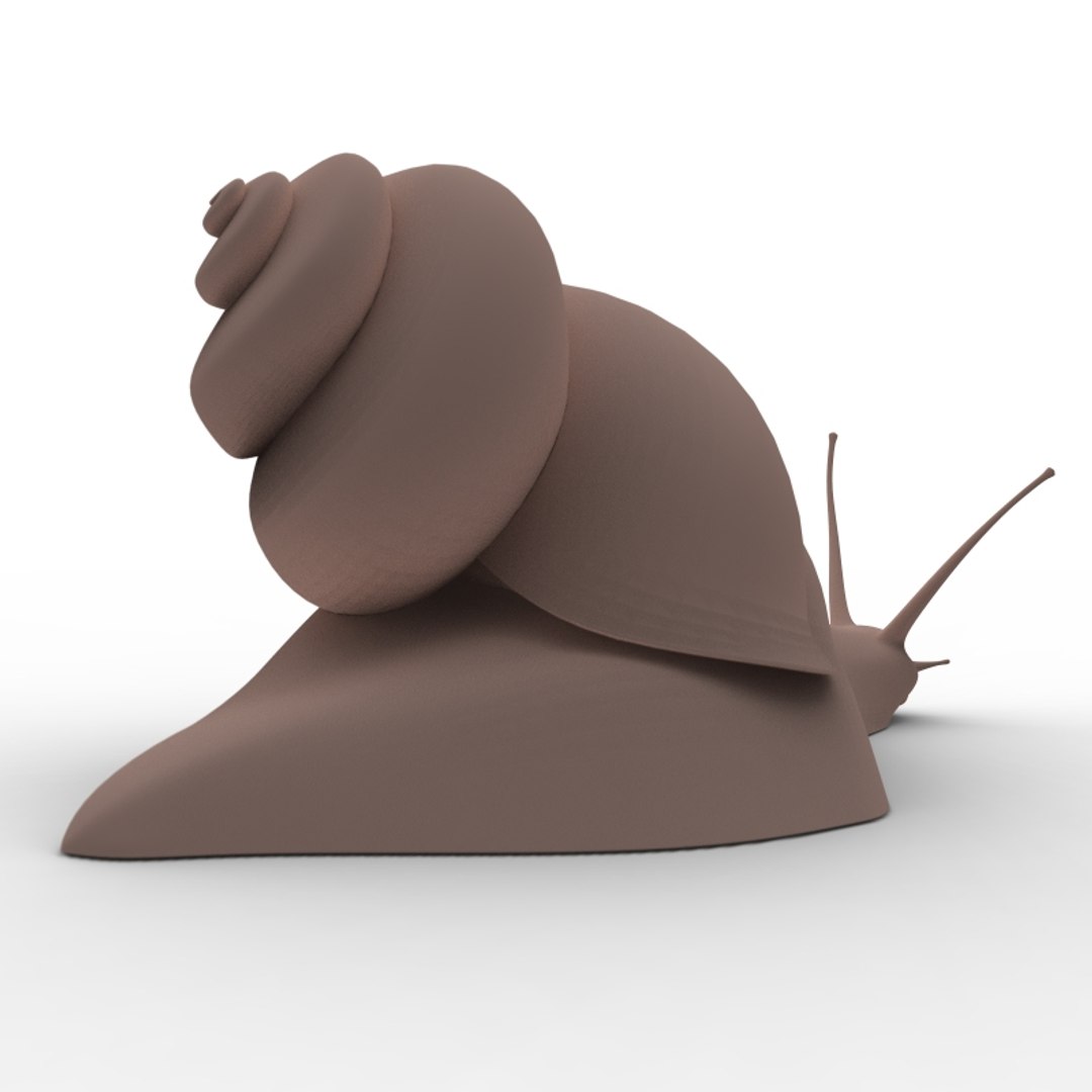 3d Snail Model