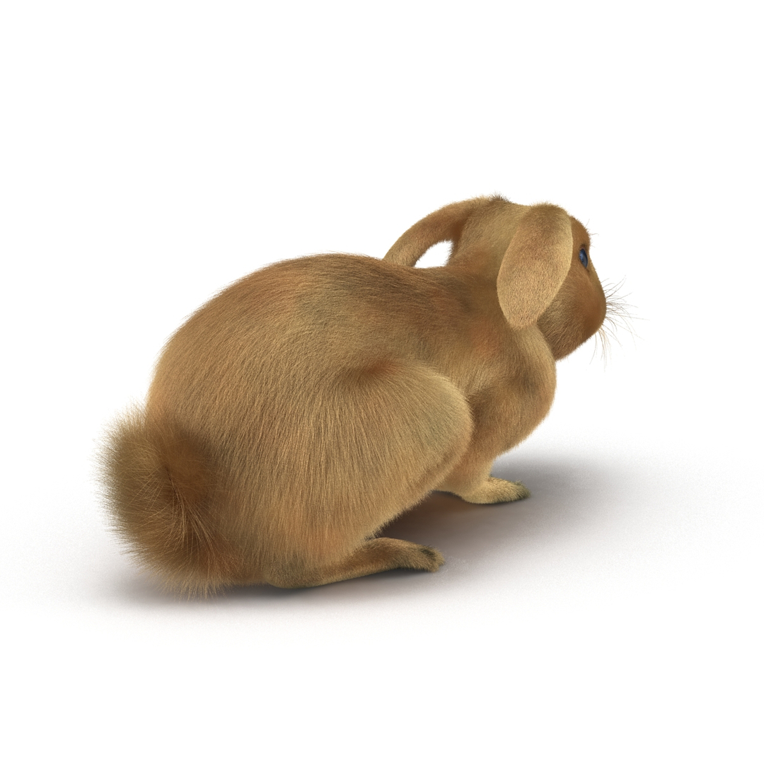 Rabbit Pose 2 3d Model