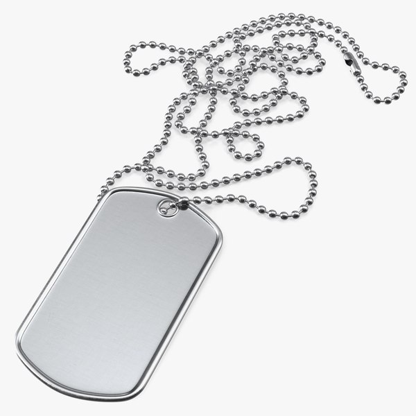 modelo 3d Placa de identificación militar con cadena en blanco ...