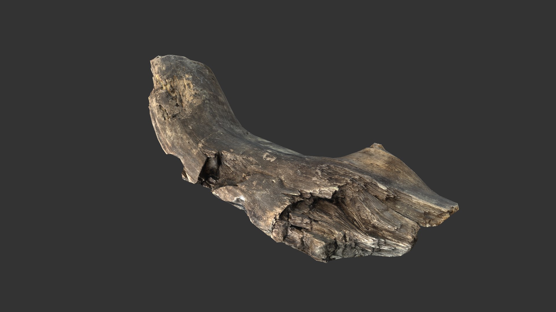 A realistic section of tree trunk 3D model - TurboSquid 2166508