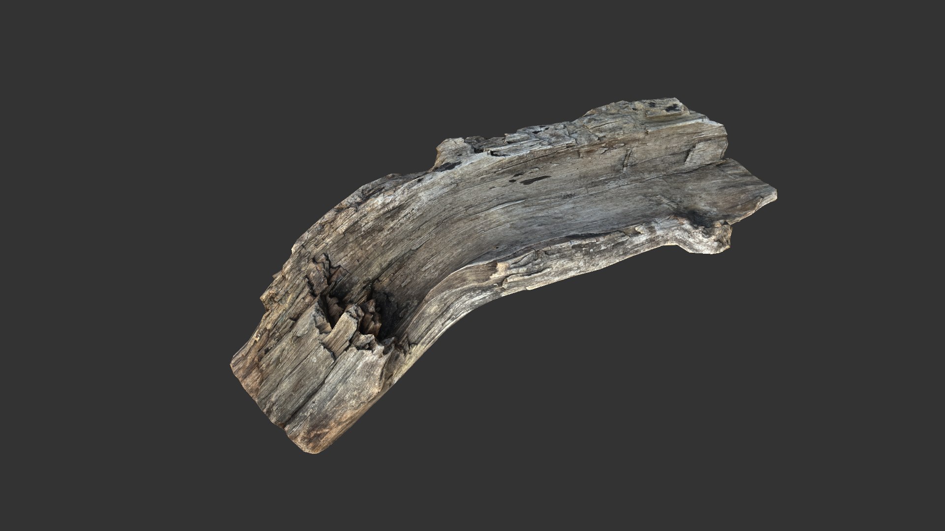 A realistic section of tree trunk 3D model - TurboSquid 2166508