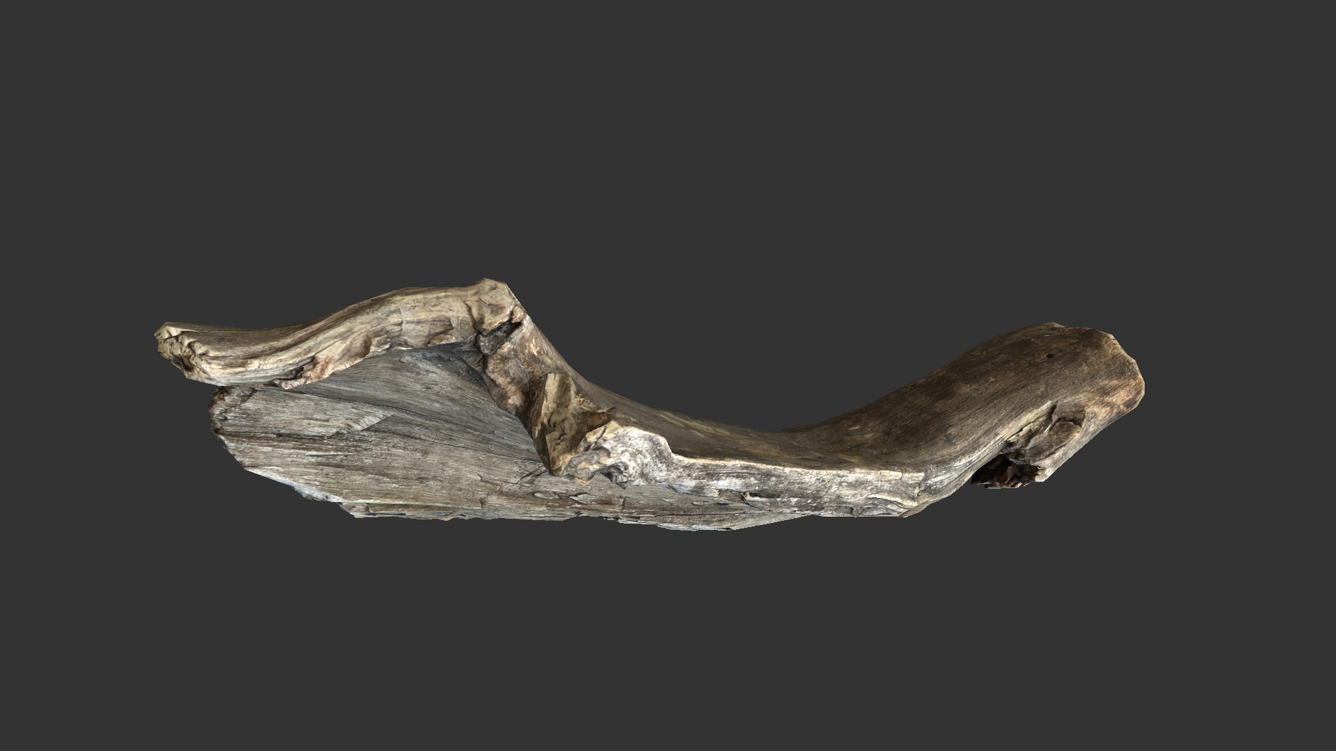 A realistic section of tree trunk 3D model - TurboSquid 2166508