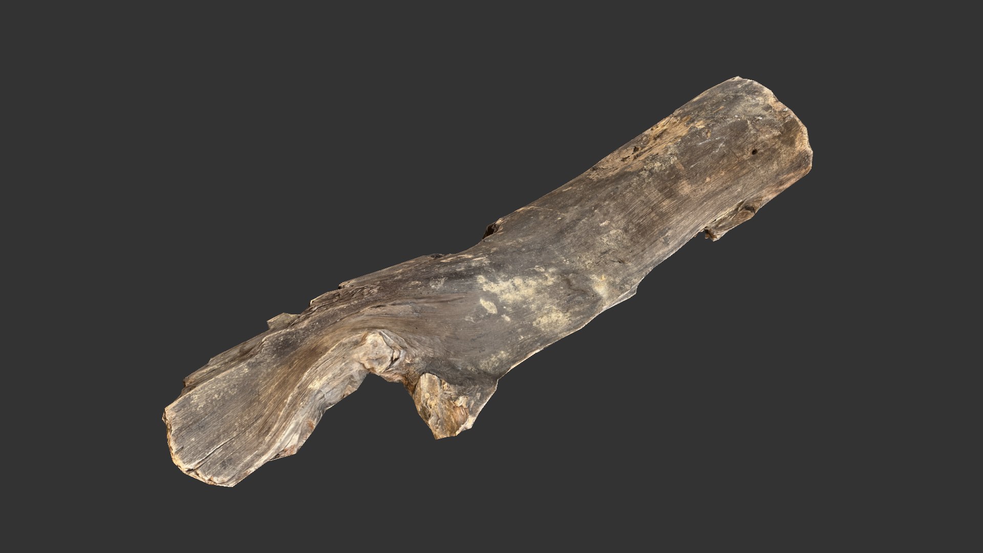 A realistic section of tree trunk 3D model - TurboSquid 2166508