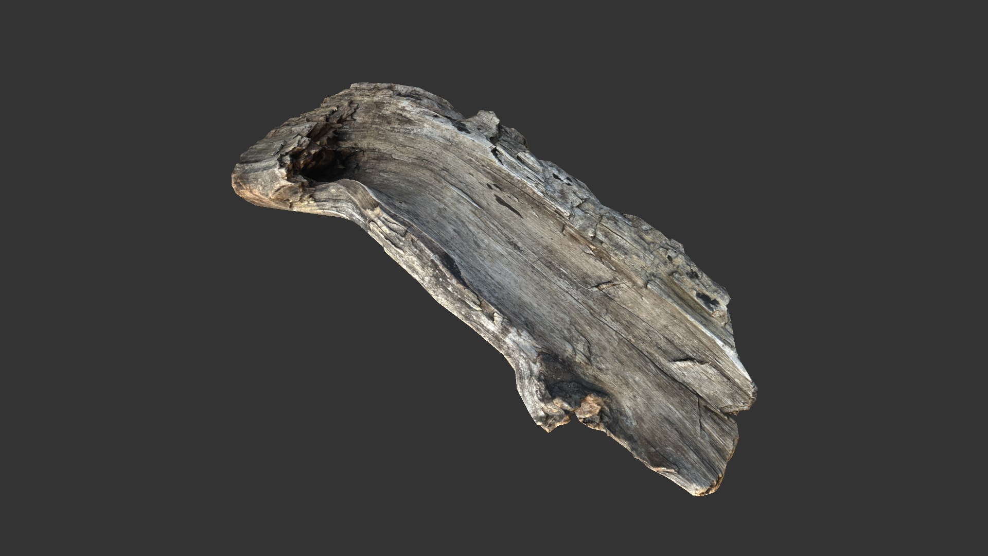 A realistic section of tree trunk 3D model - TurboSquid 2166508
