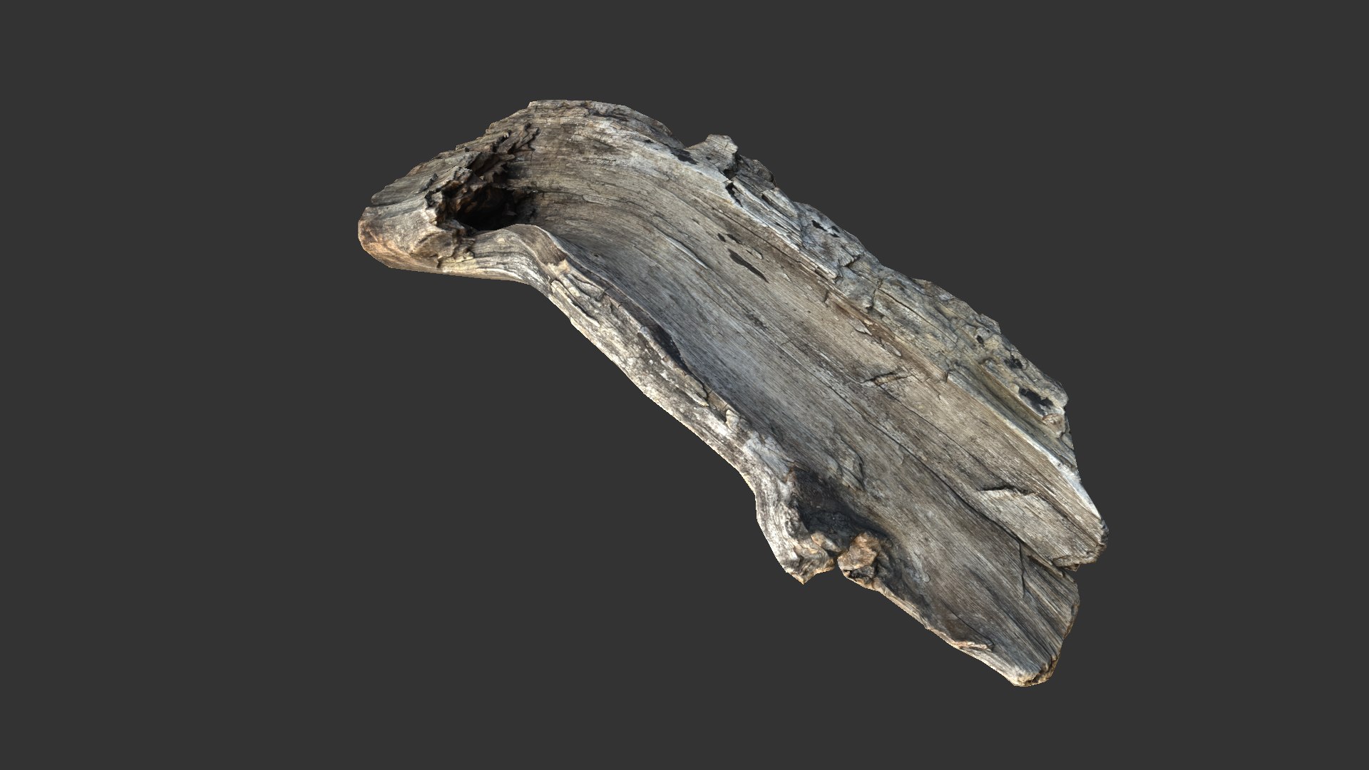A realistic section of tree trunk 3D model - TurboSquid 2166508