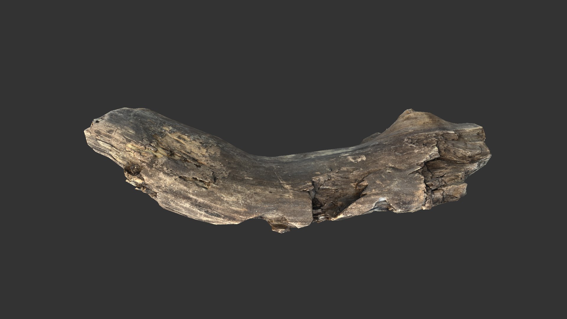 A realistic section of tree trunk 3D model - TurboSquid 2166508