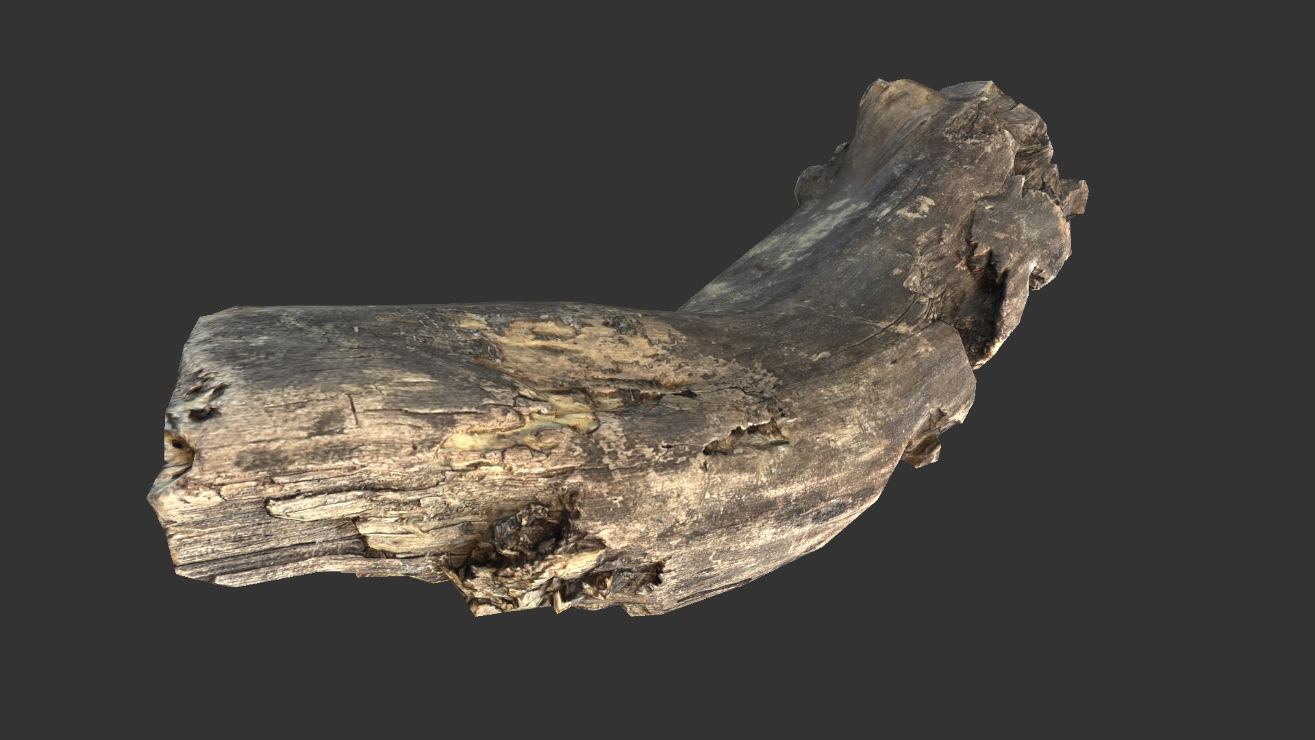 A realistic section of tree trunk 3D model - TurboSquid 2166508