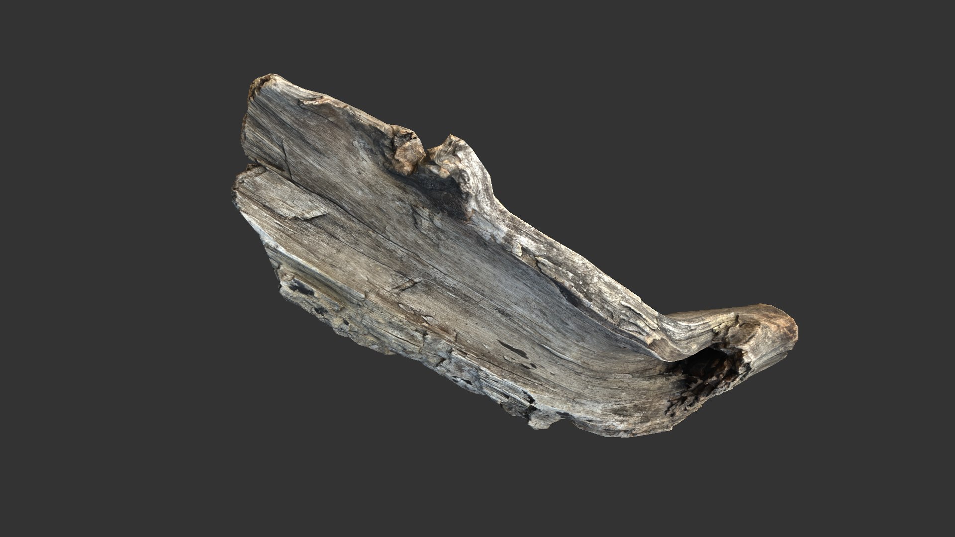 A realistic section of tree trunk 3D model - TurboSquid 2166508