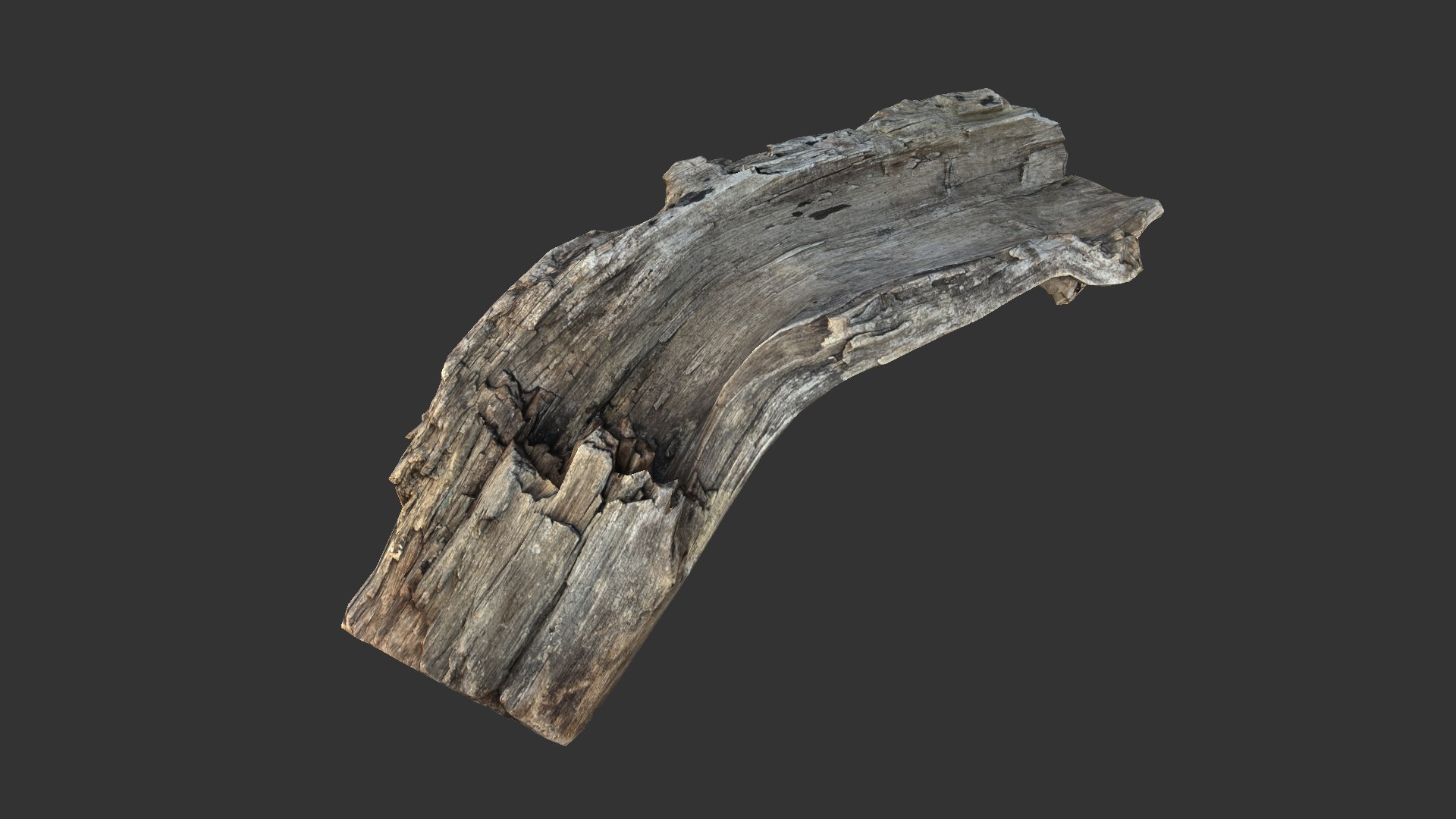 A realistic section of tree trunk 3D model - TurboSquid 2166508