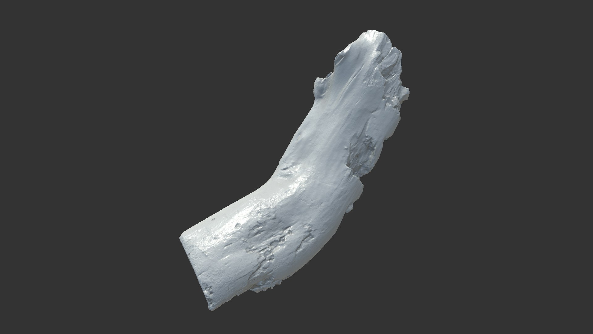 A realistic section of tree trunk 3D model - TurboSquid 2166508