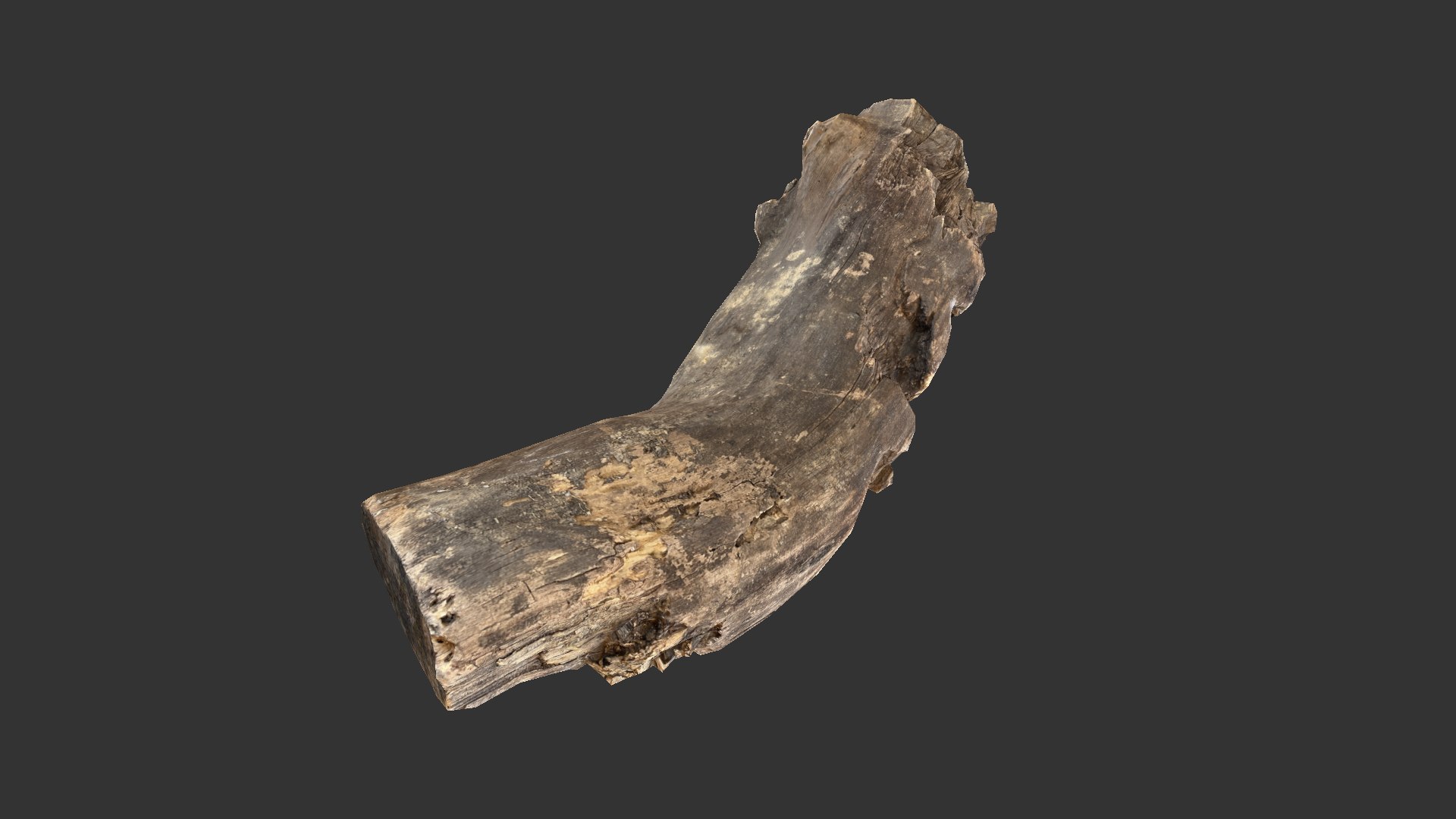 A realistic section of tree trunk 3D model - TurboSquid 2166508