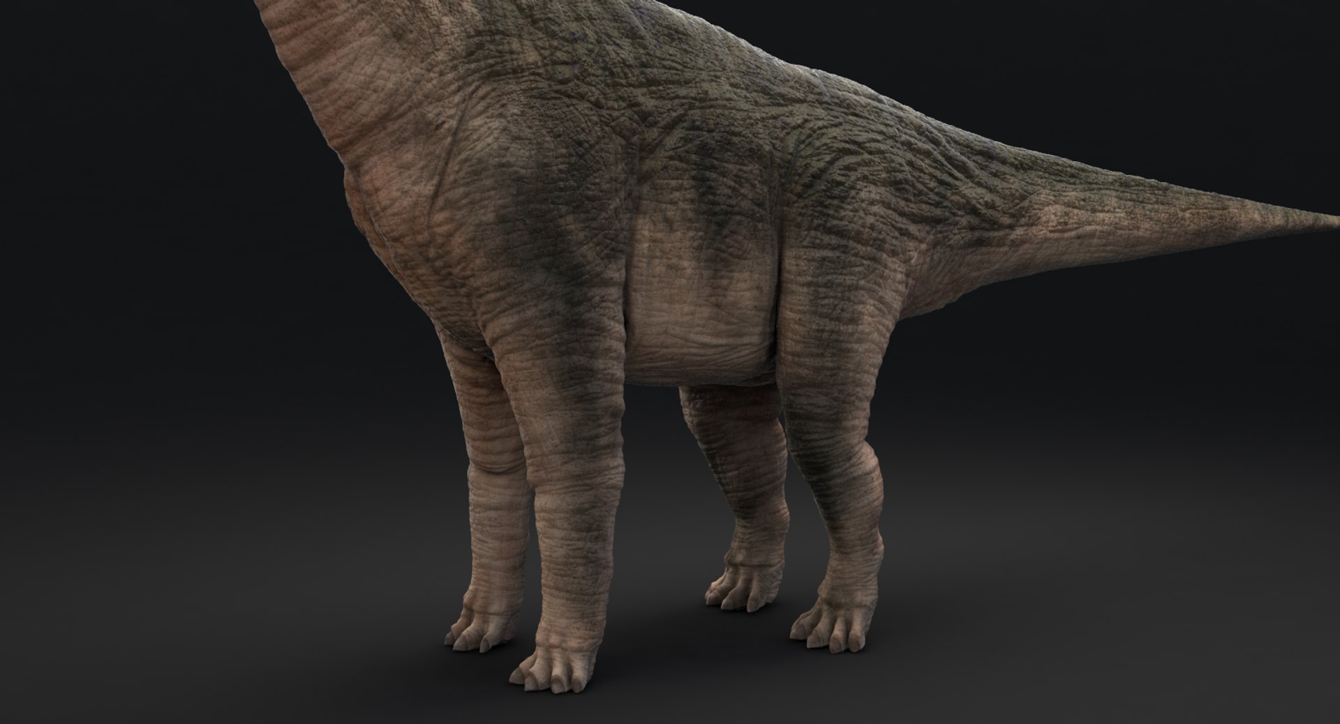 3d Model Brachiosaurus