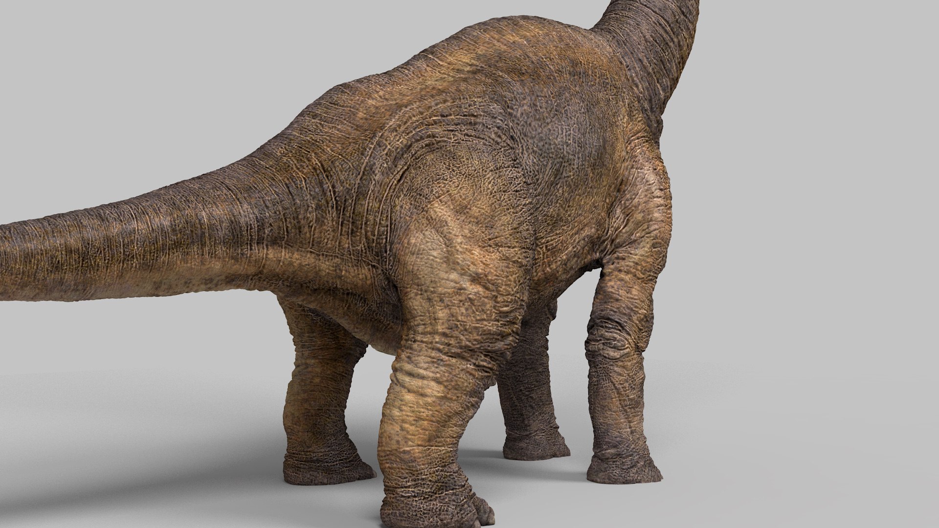 3D Brachiosaurus Animation Blender - TurboSquid 1415122