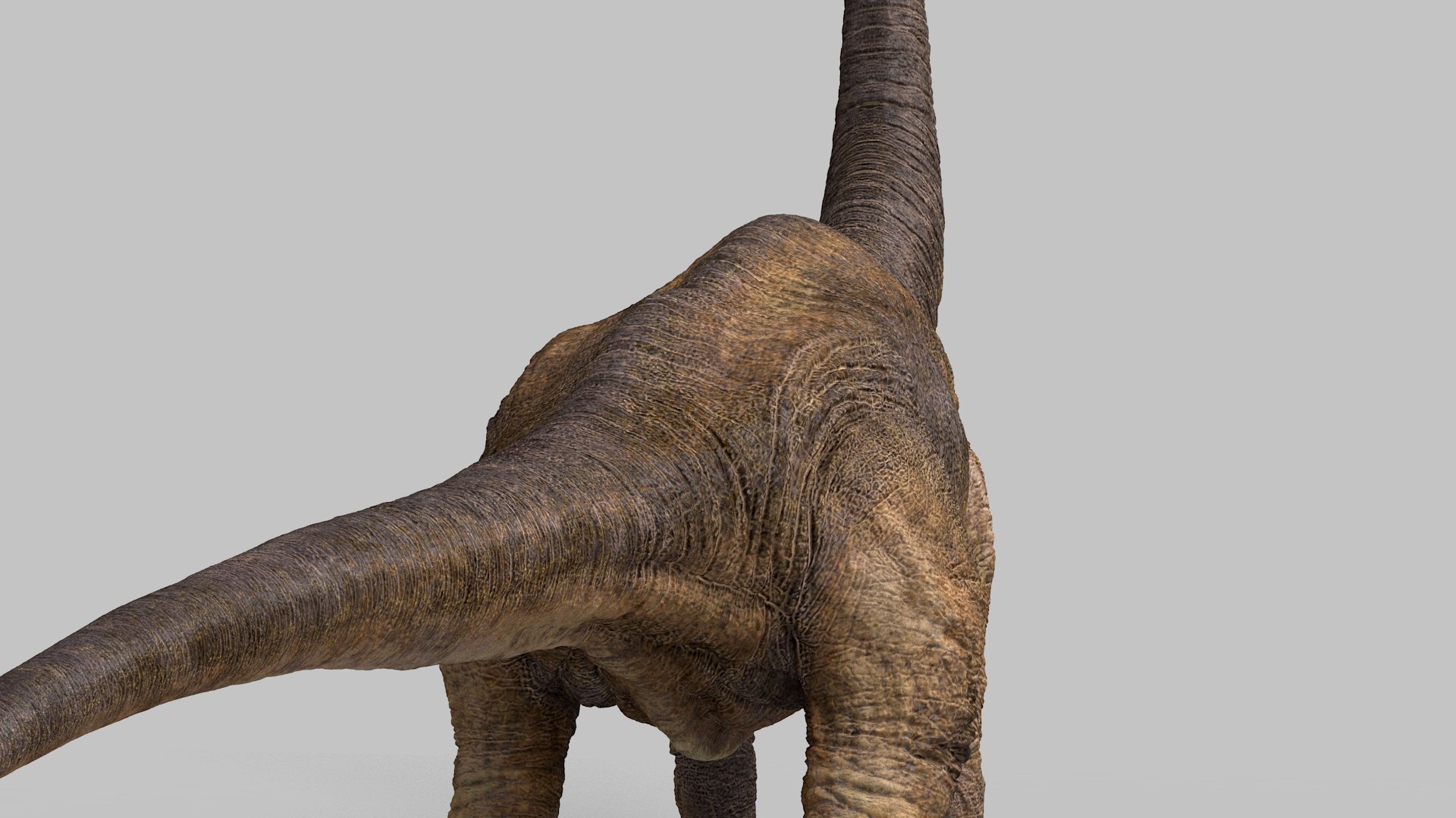 3D Brachiosaurus Animation Blender - TurboSquid 1415122