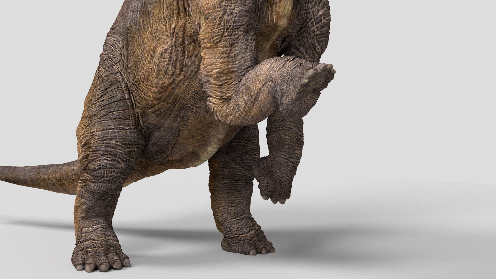 3D Brachiosaurus Animation Blender - TurboSquid 1415122