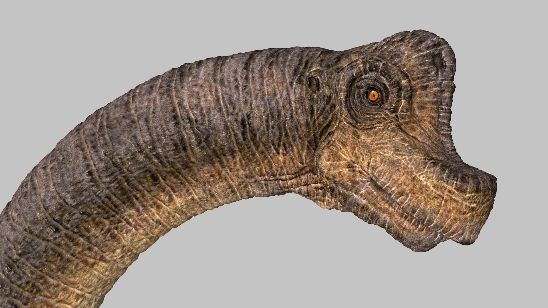 3D Brachiosaurus Animation Blender - TurboSquid 1415122