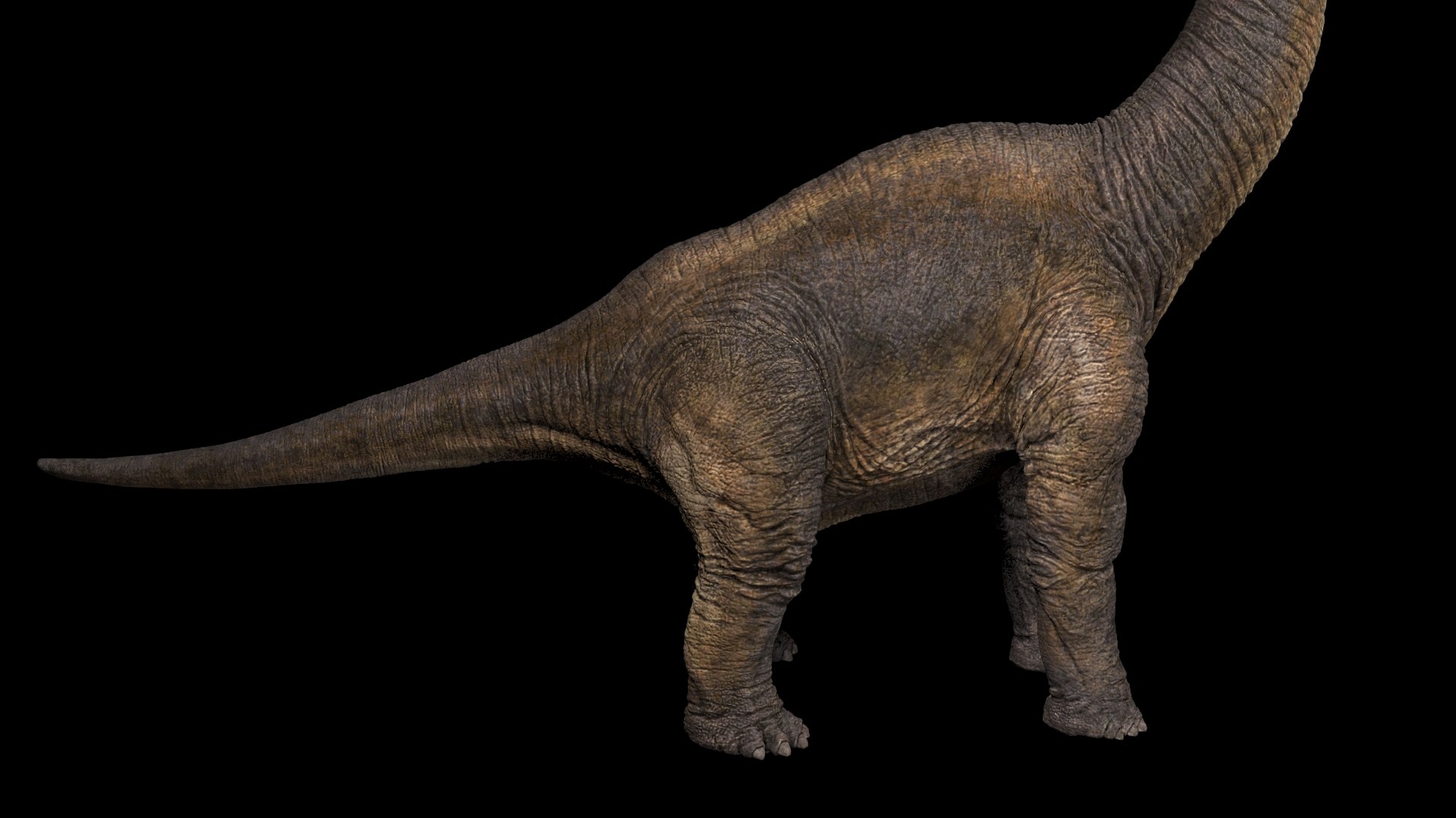 3D Brachiosaurus Animation Blender - TurboSquid 1415122