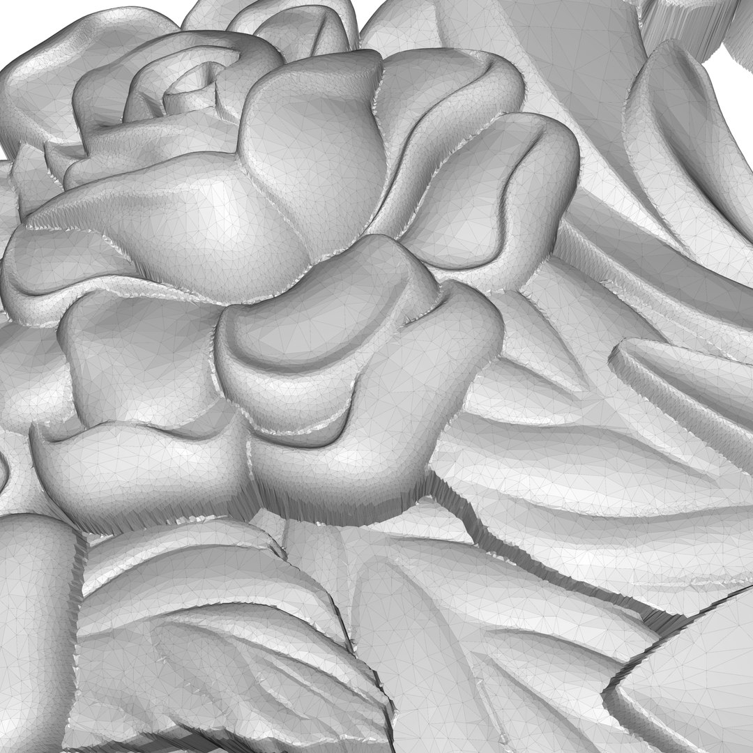 Decorative pattern 3d printing 3D model 3D - TurboSquid 1873503